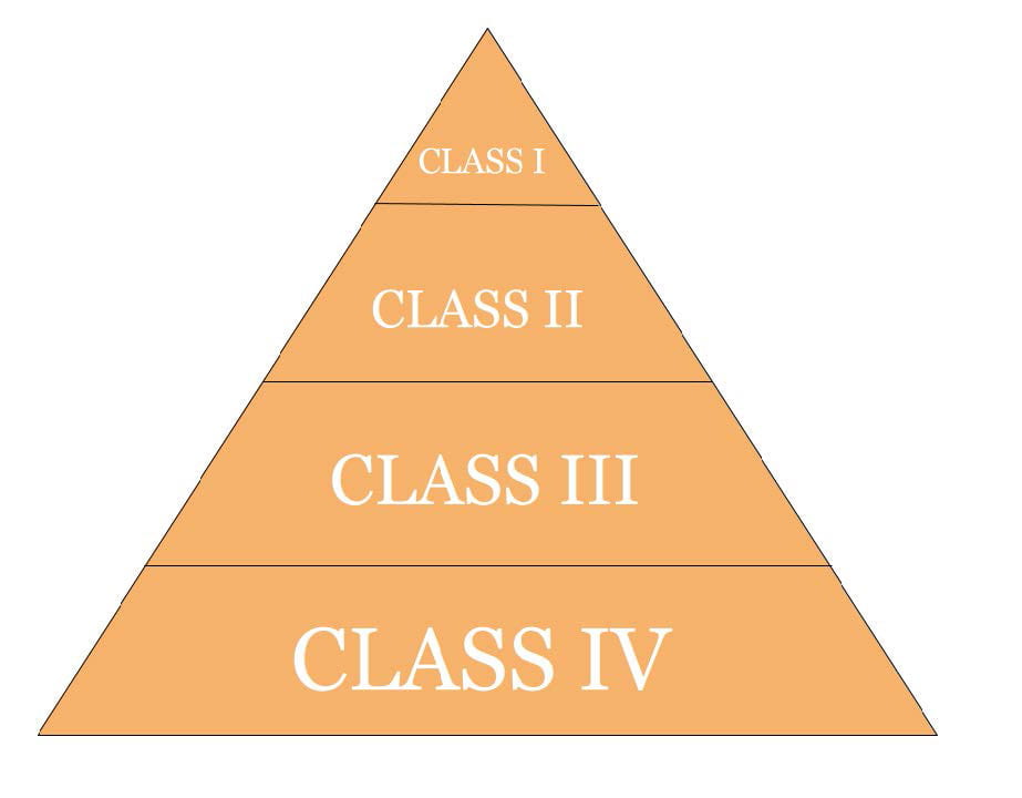 Kathryn Doner ’22: Reflections on research – Engaged Learning