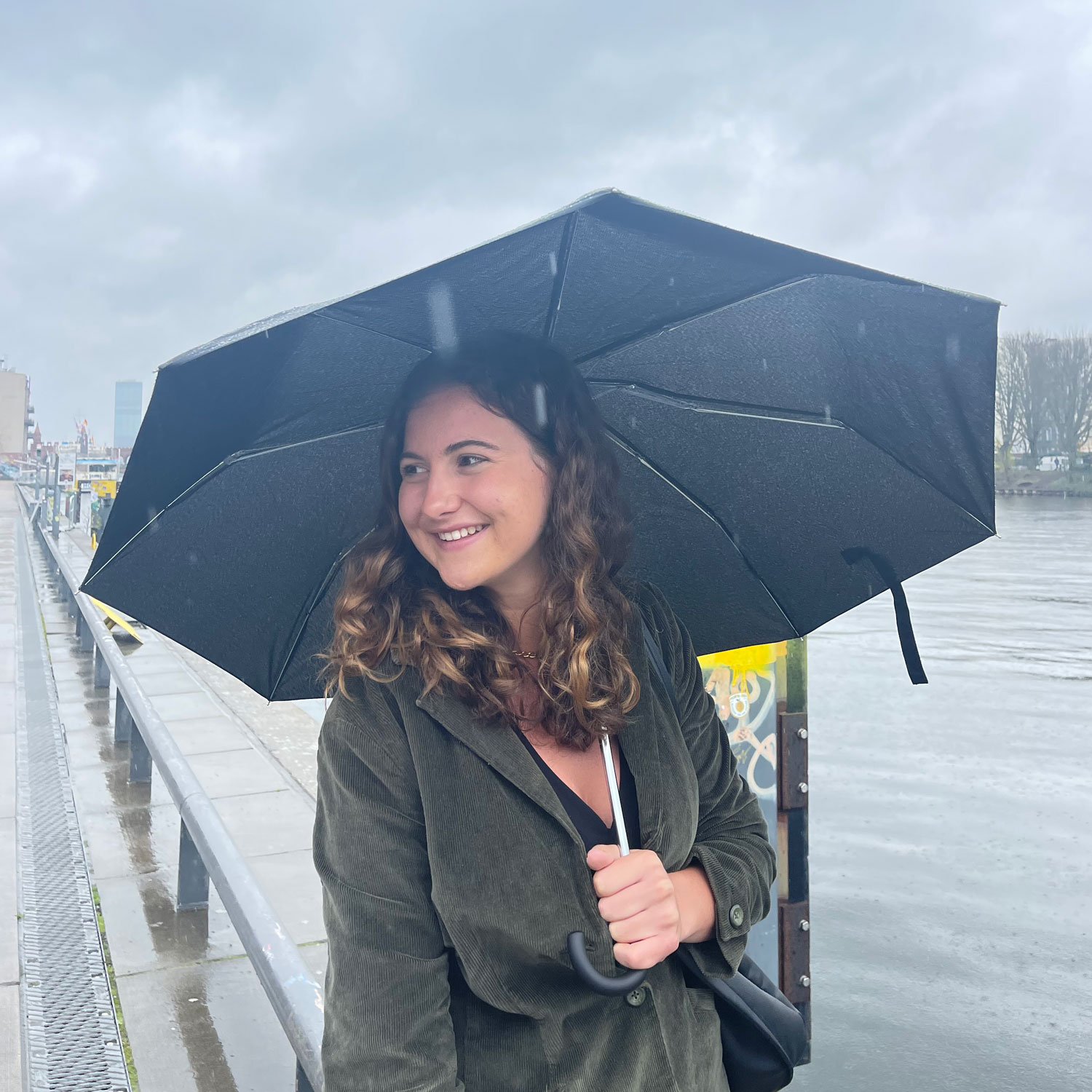 Undergraduate Research Awards Engaged Learning